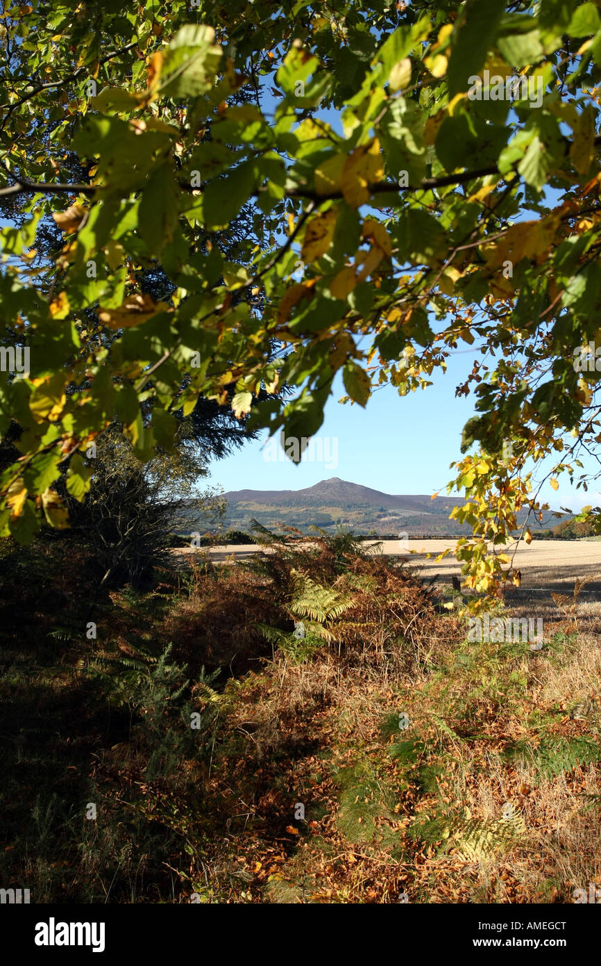 View of the mountain of Bennachie in Aberdeenshire, Scotland, UK, with ...