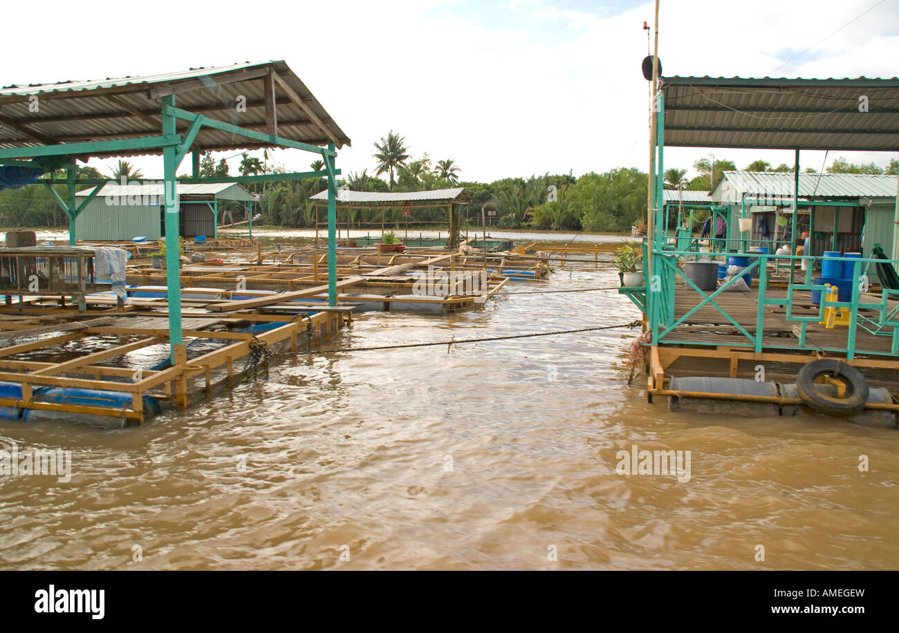 Mekong River Delta fish farm Stock Photo - Alamy