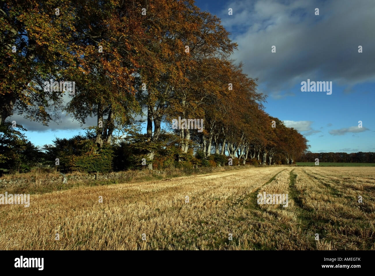 Border of scotland hi-res stock photography and images - Alamy