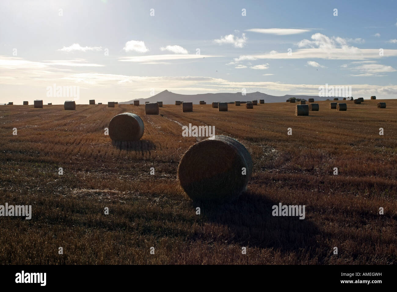 Hay bales on farm land beside the mountain of Bennachie in ...