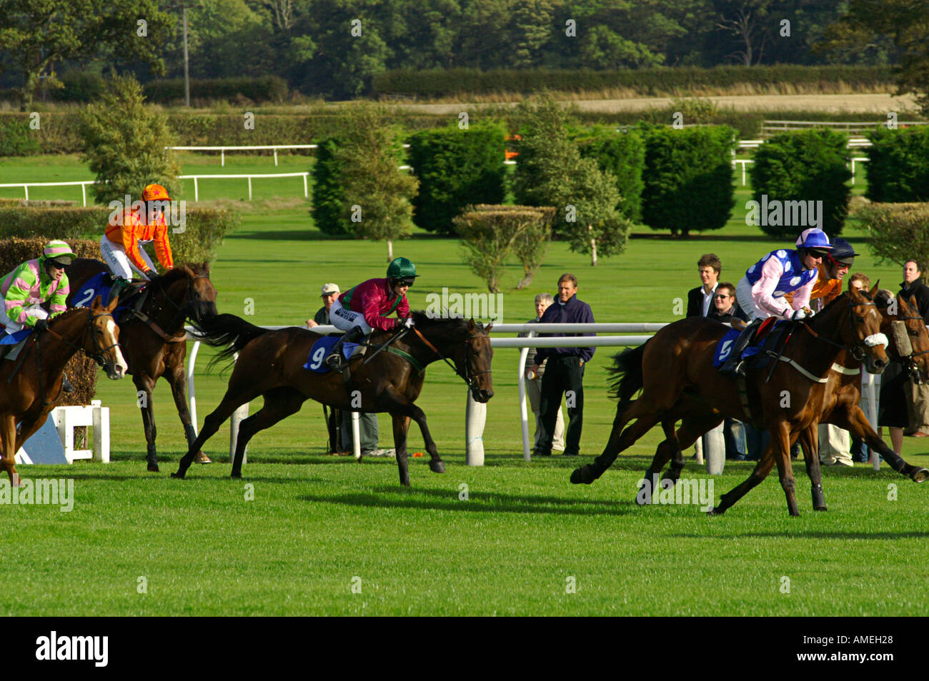 Kelso Races Scottish Borders UK Stock Photo - Alamy
