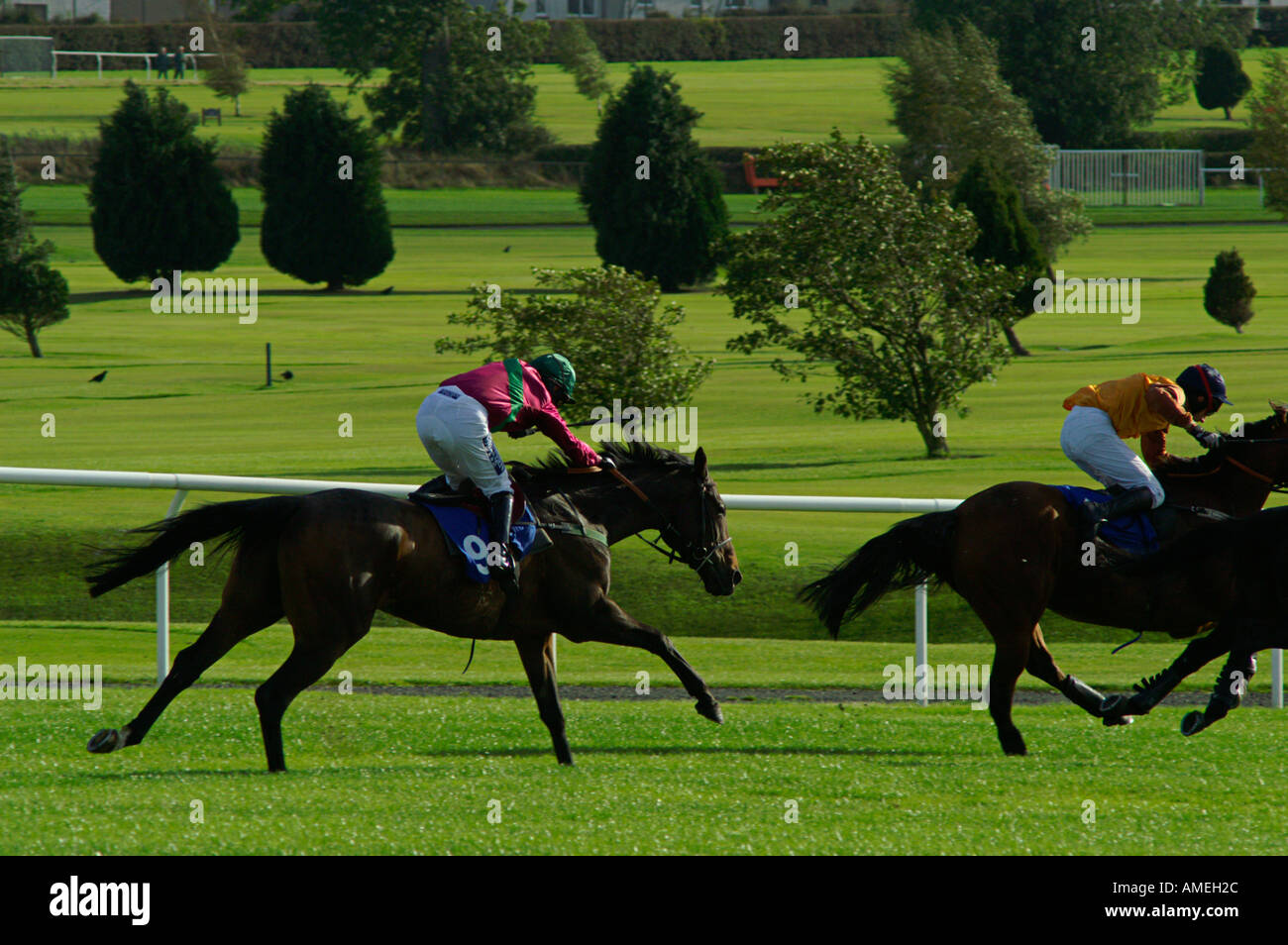 Kelso racecourse hi-res stock photography and images - Alamy