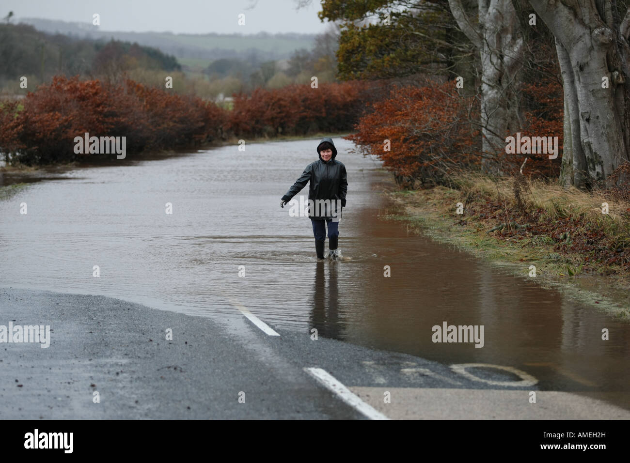 Woman wading through flood waters of the River Deveron on the B9025 ...