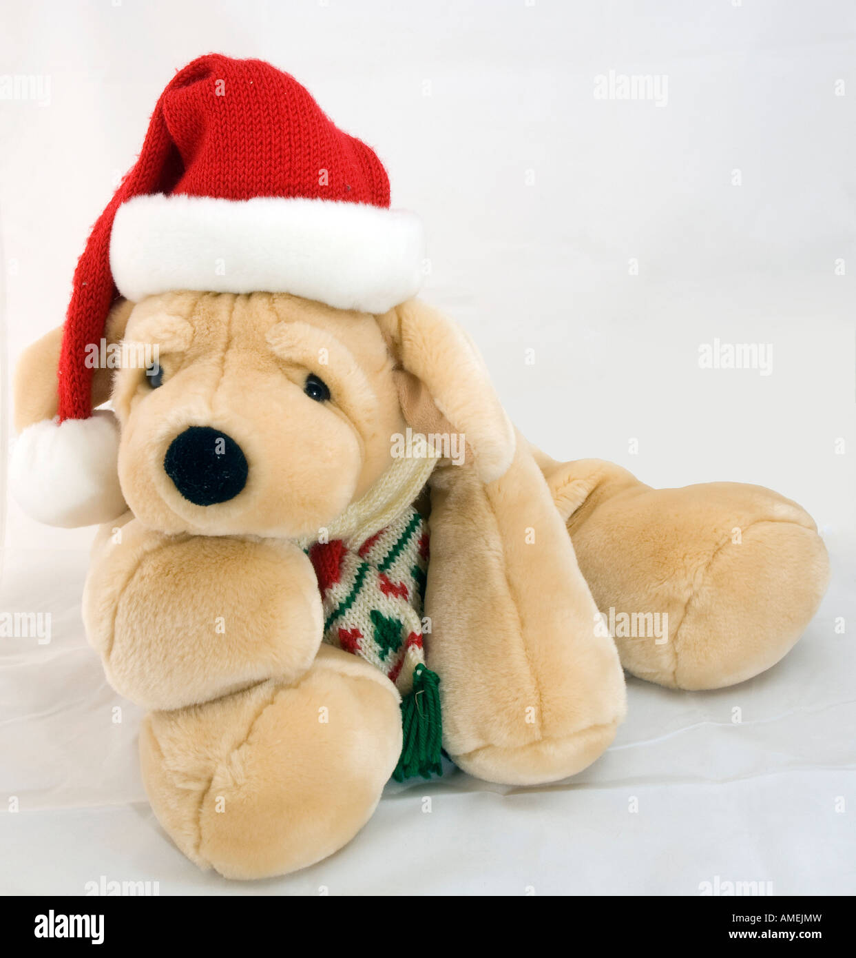 Ocito hi-res stock photography and images - Alamy