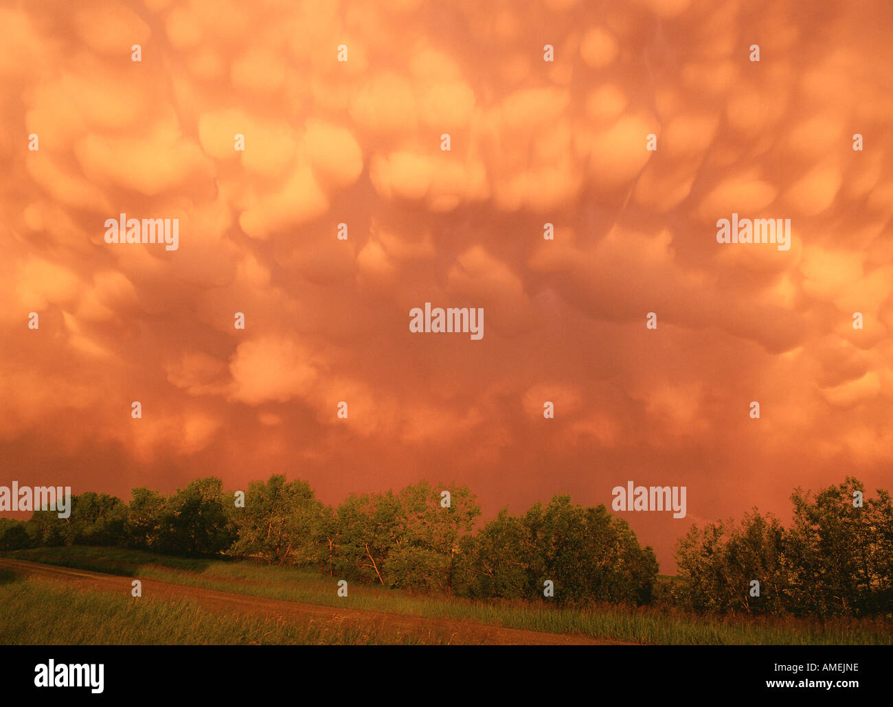 Beiseker alberta hi-res stock photography and images - Alamy