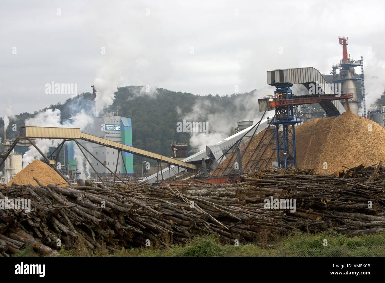 Kraft pulp hi-res stock photography and images - Alamy