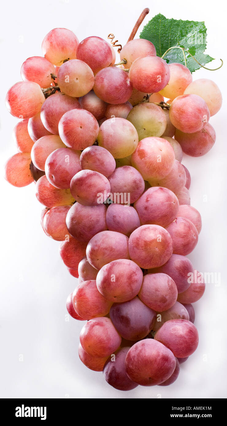 Grape vine hi-res stock photography and images - Alamy