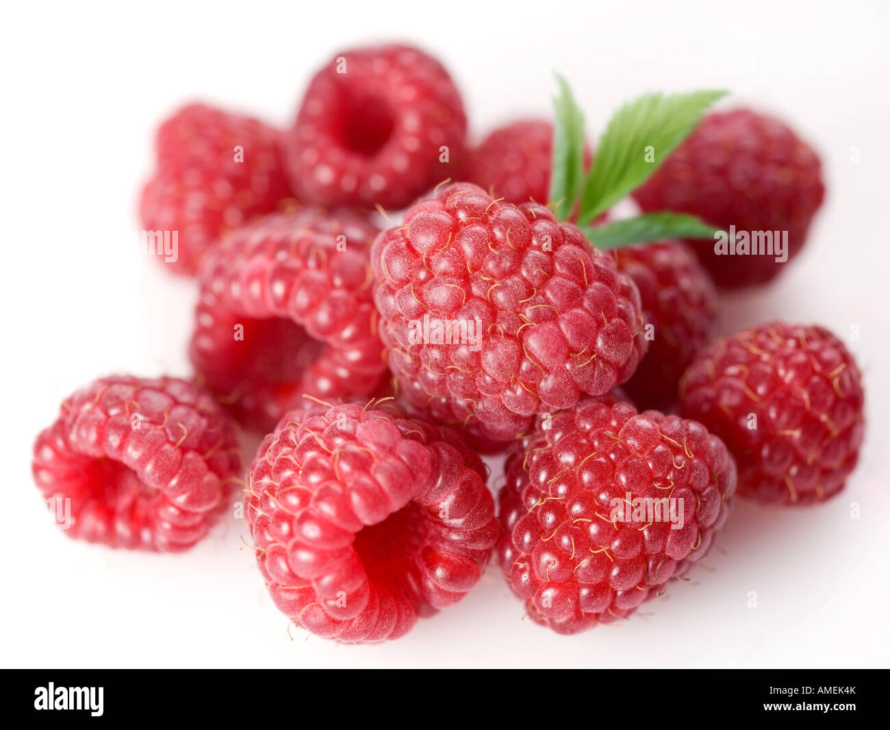Red huckleberry berry hi-res stock photography and images - Alamy