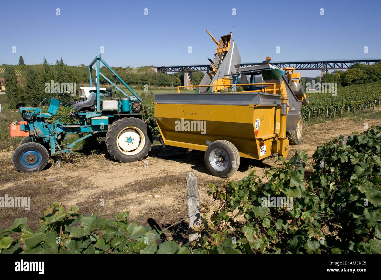 Tractor trailer grape harvesting machine hi-res stock photography and ...