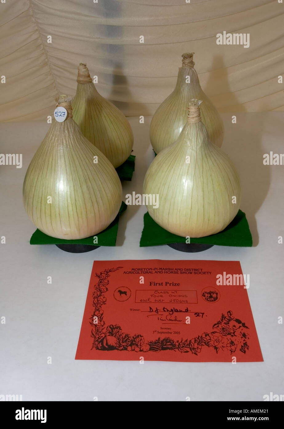 Prize certificate hi-res stock photography and images - Alamy