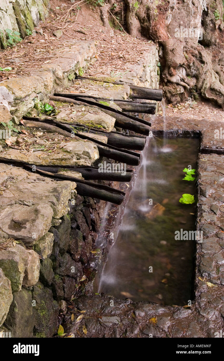 La Gomera, Canary Islands. Fresh water source known as the Chorros de ...