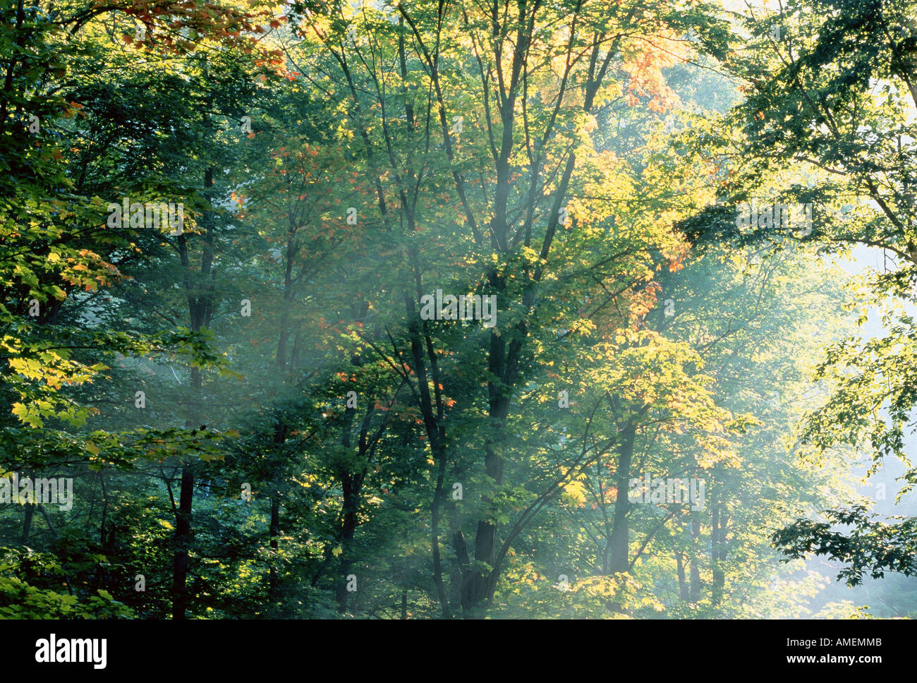 Haliburton Ontario High Resolution Stock Photography and Images - Alamy