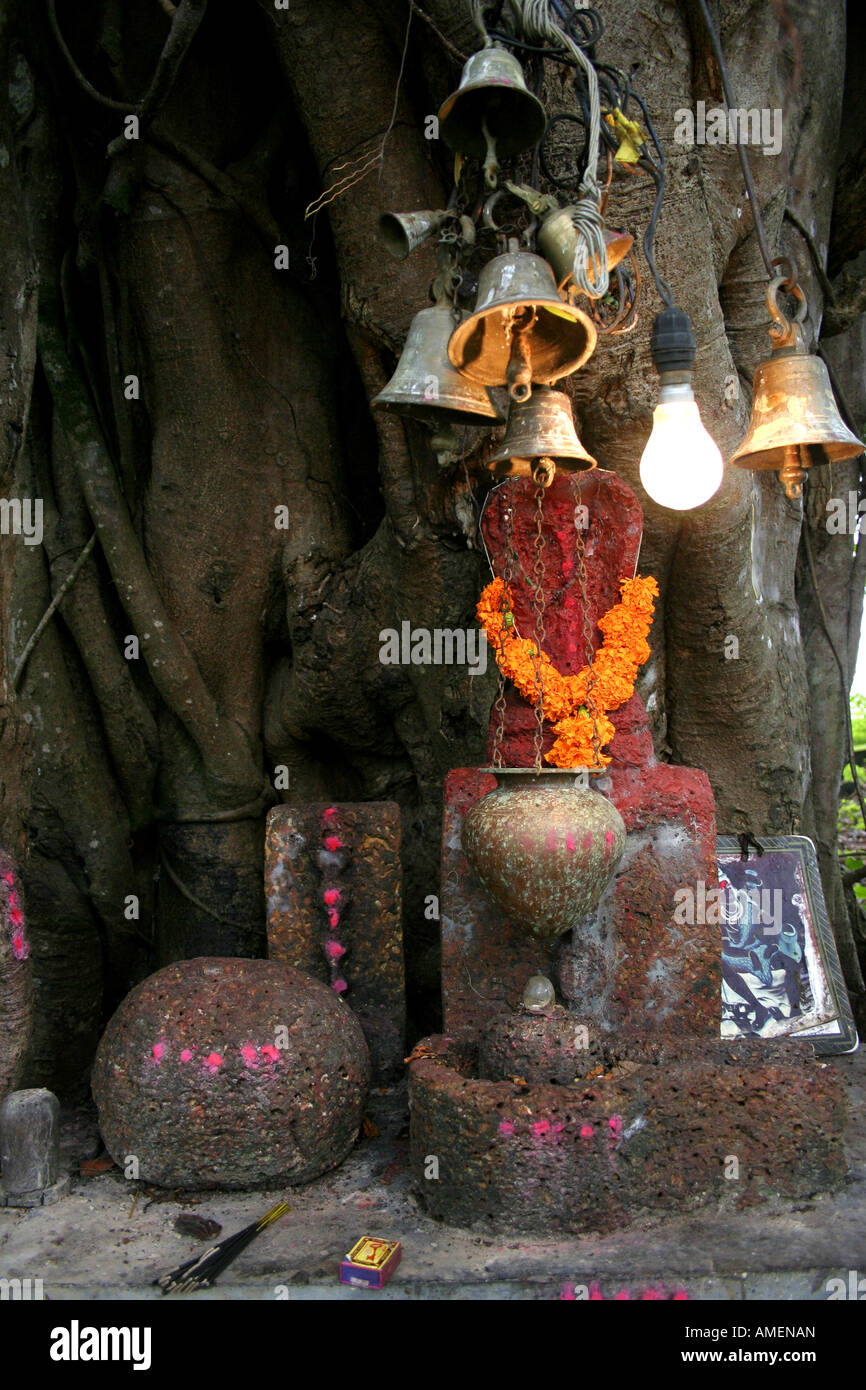hindu temple under a tree Stock Photo - Alamy