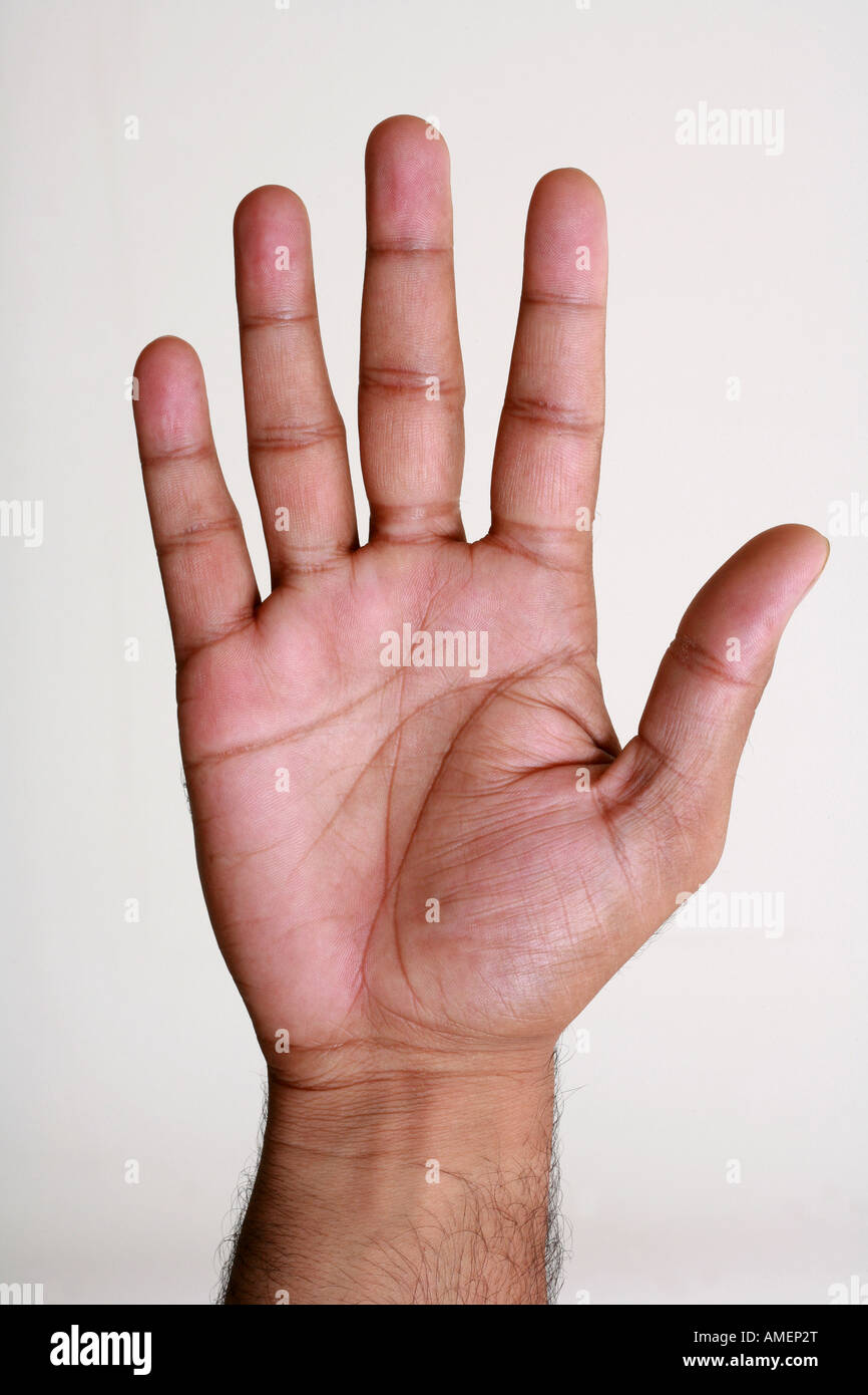 Palmistry hand hi-res stock photography and images - Alamy