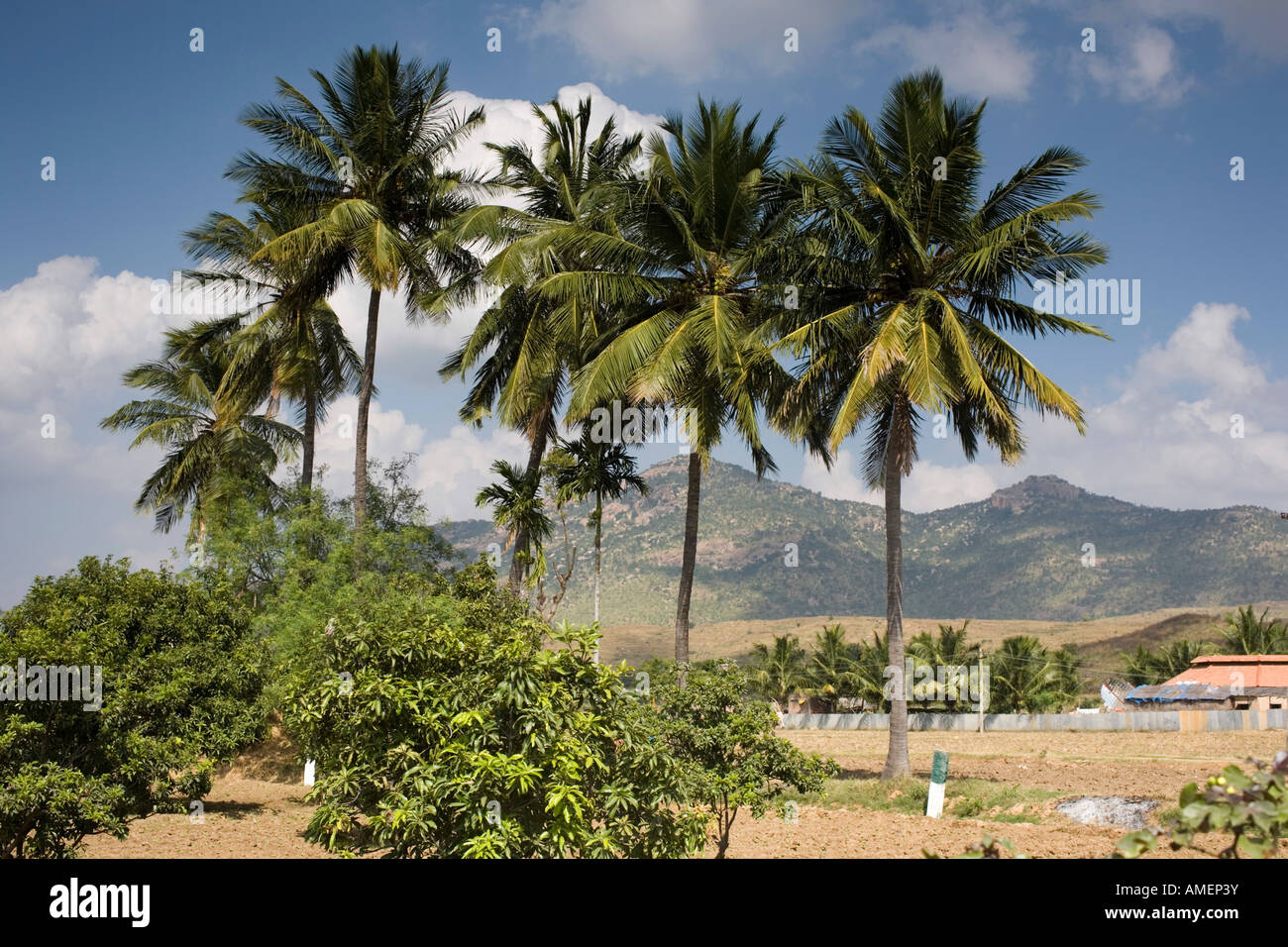 Indian Countryside Puttaparthi Andhra Pradesh District Stock Photo - Alamy
