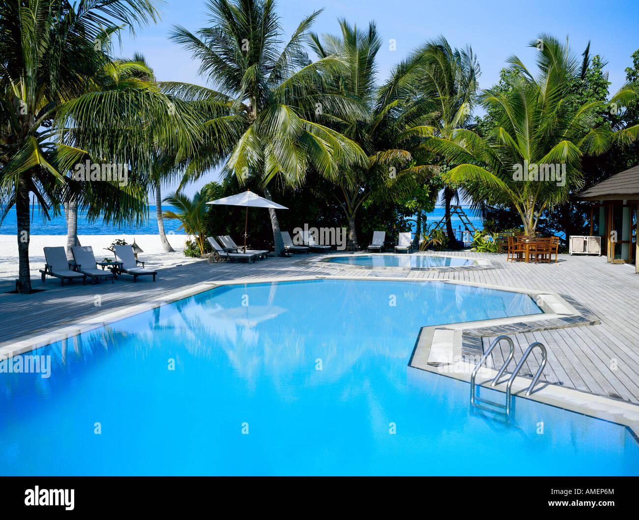 tropical swimming pool Stock Photo - Alamy