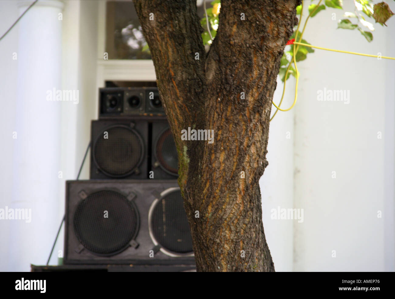 a speaker stack behind a tree at the notting hill carnival 2005 london ...