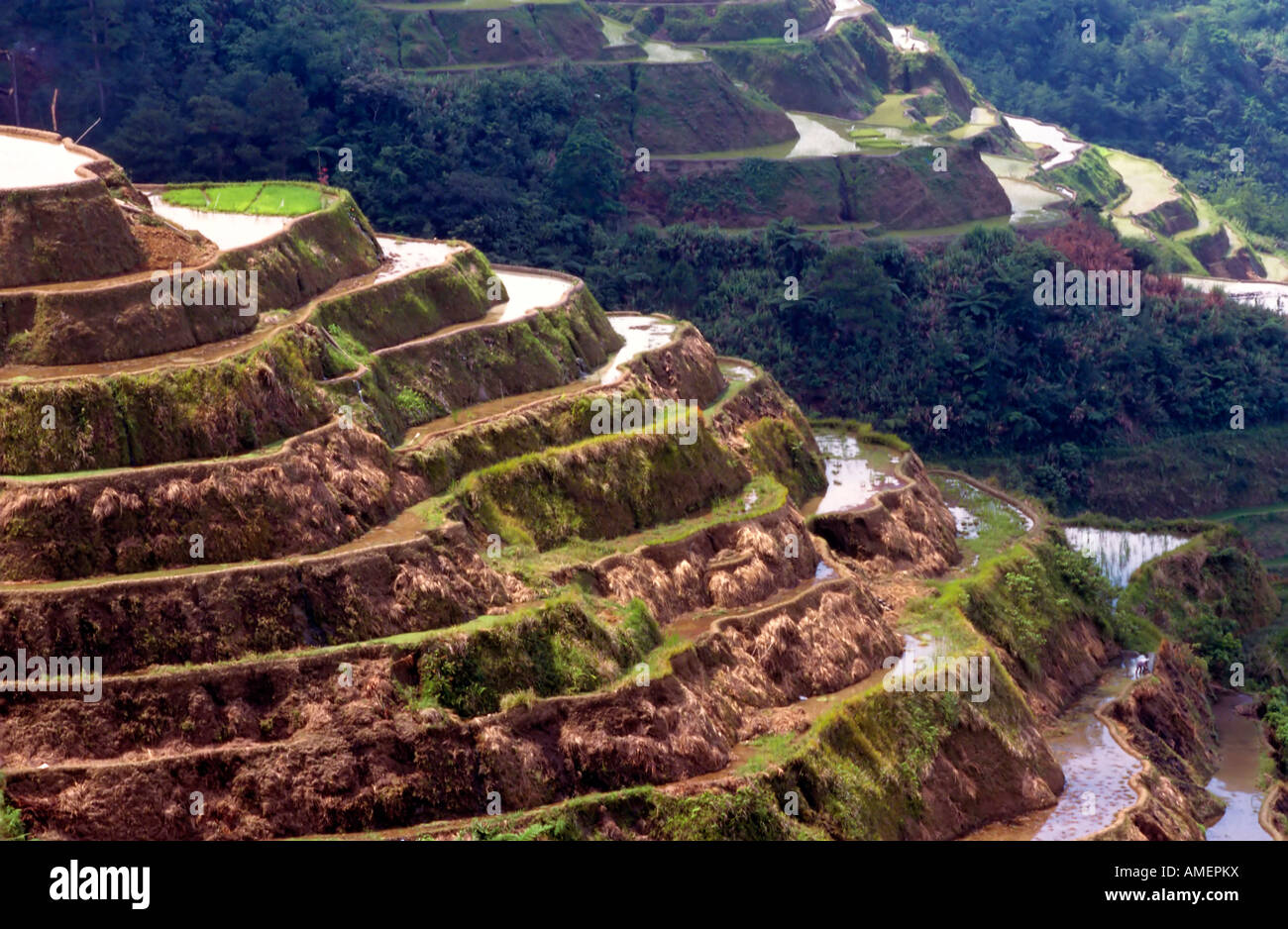 Rice terraces at Banaue, Philippines Stock Photo - Alamy