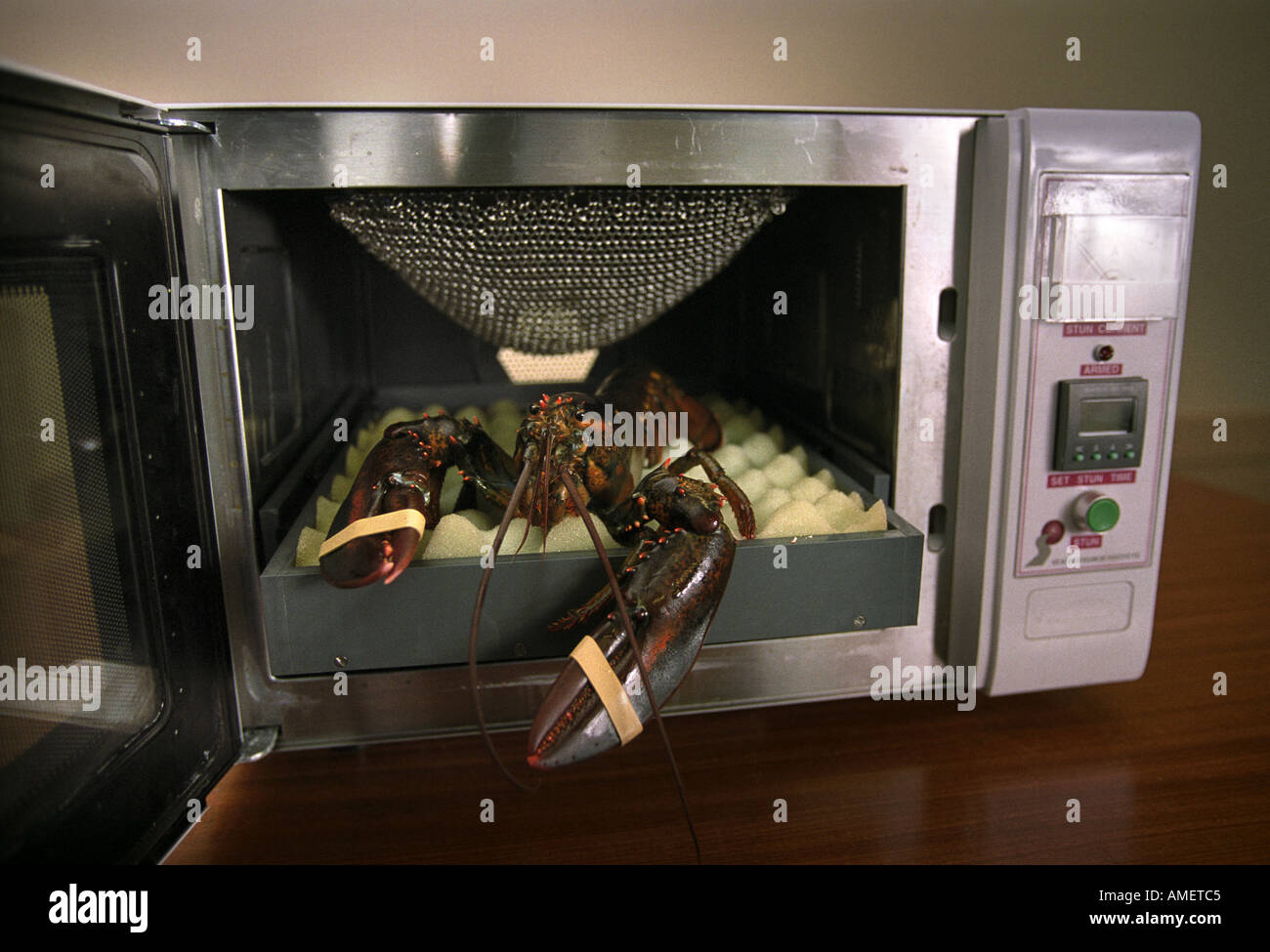 THE HUMANE CRUSTACEAN STUNNER AT THE UNIVERSITY OF BRISTOL VETERINARY ...