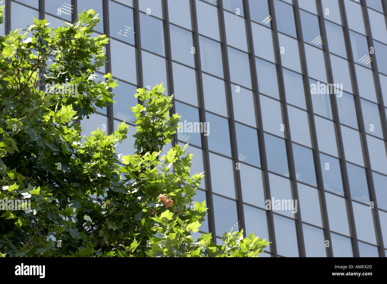 Detail of an office building at Madrid Spain Stock Photo - Alamy