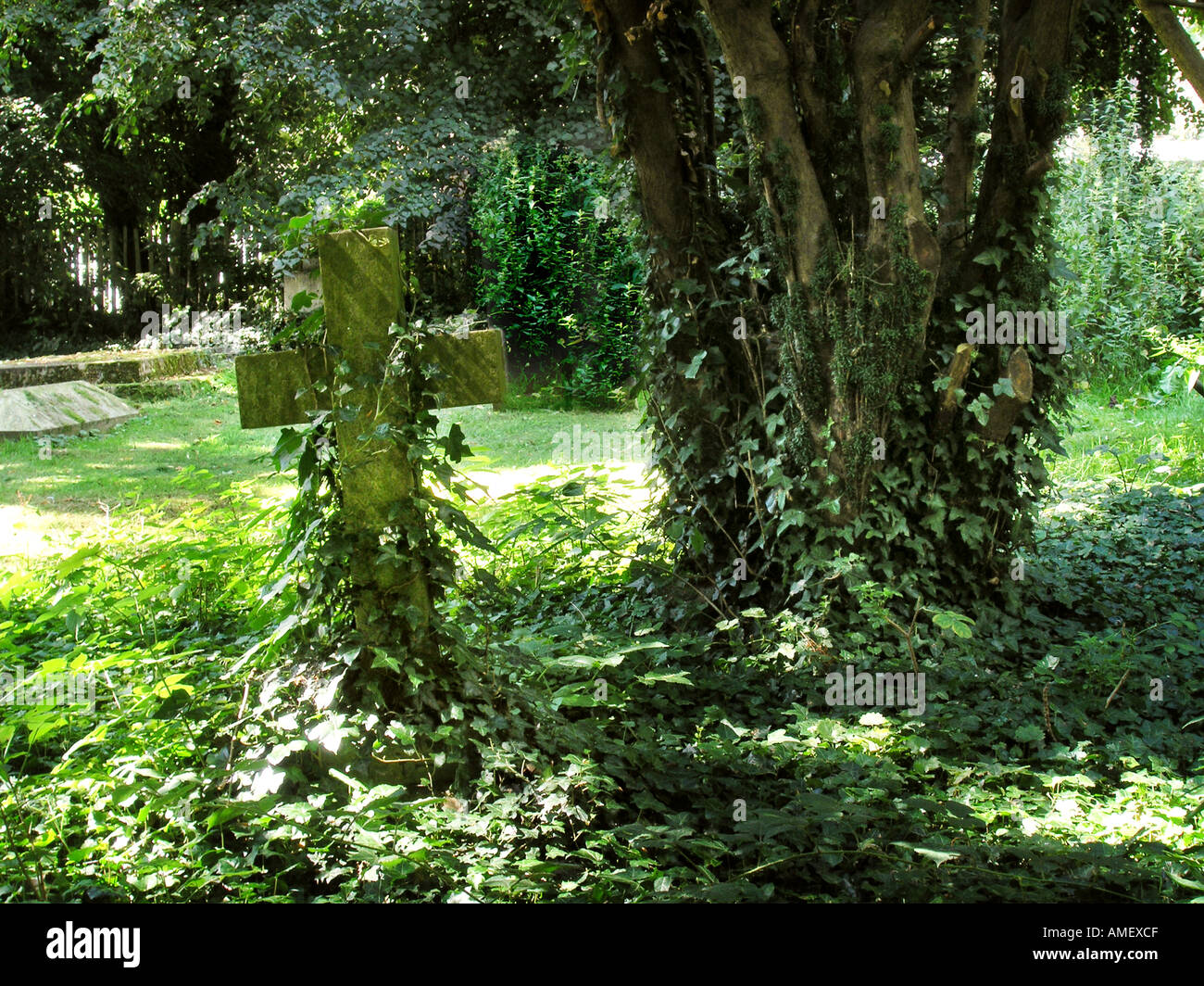 grave yard cross Stock Photo - Alamy