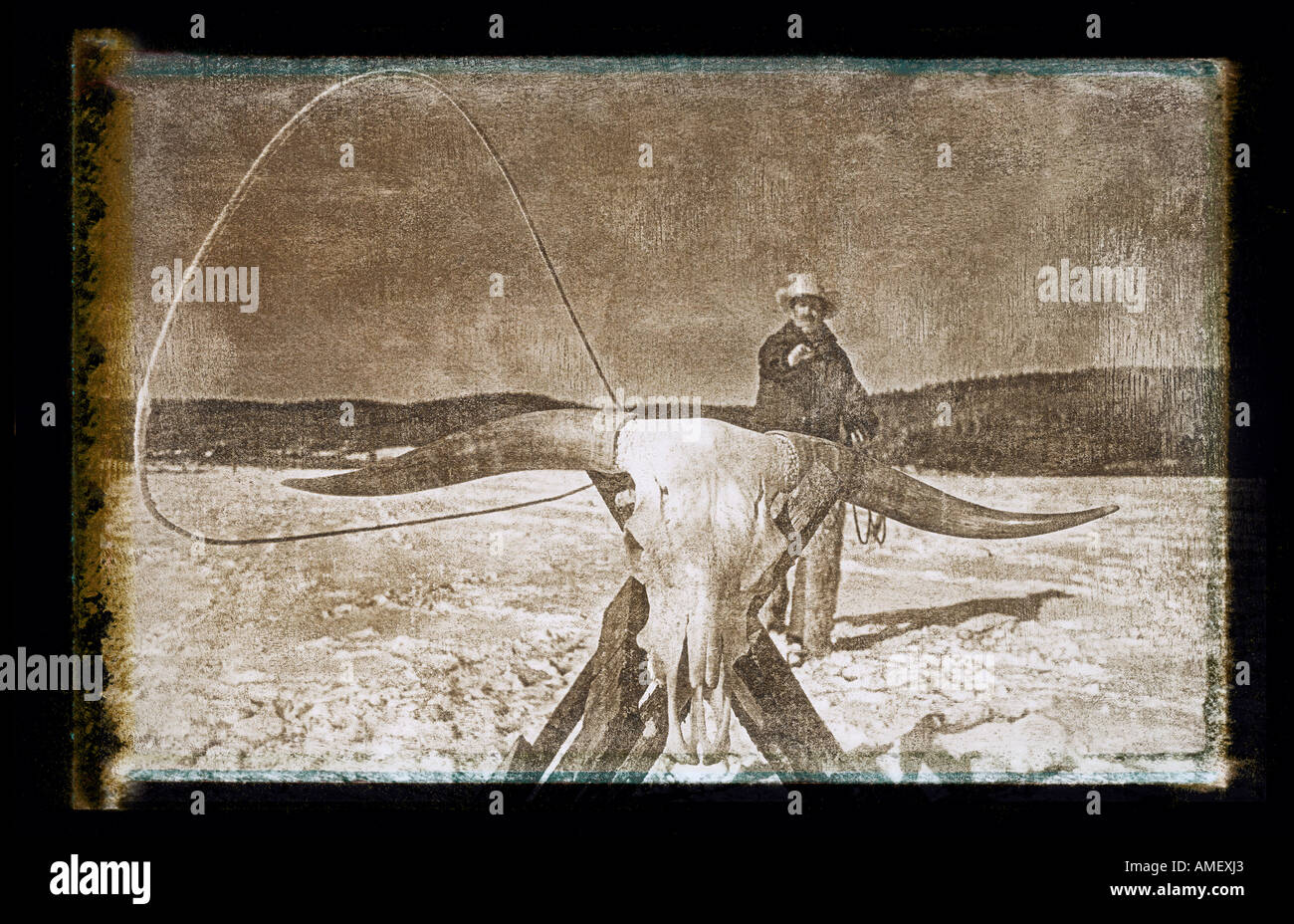 Cowboy Roping Horns of Cow Skull Stock Photo - Alamy