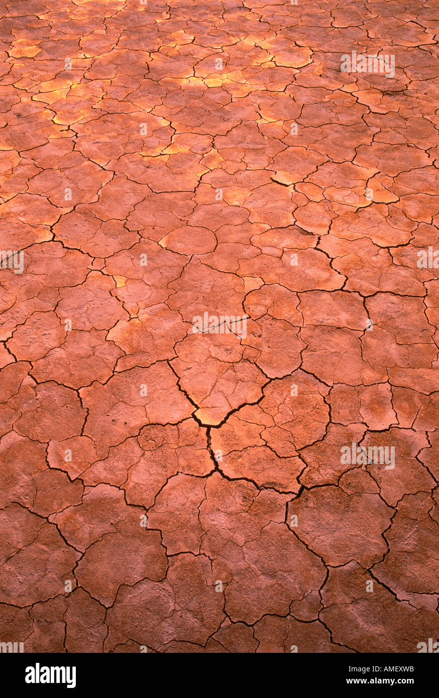 Cracked earth backgrounds hi-res stock photography and images - Alamy