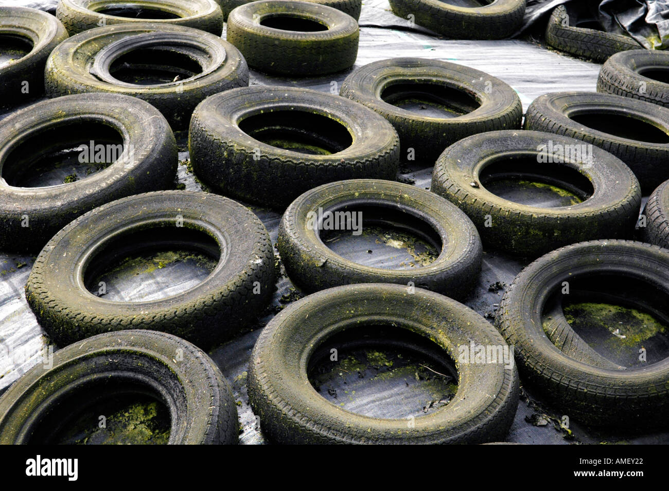 Silage Clamp High Resolution Stock Photography and Images - Alamy
