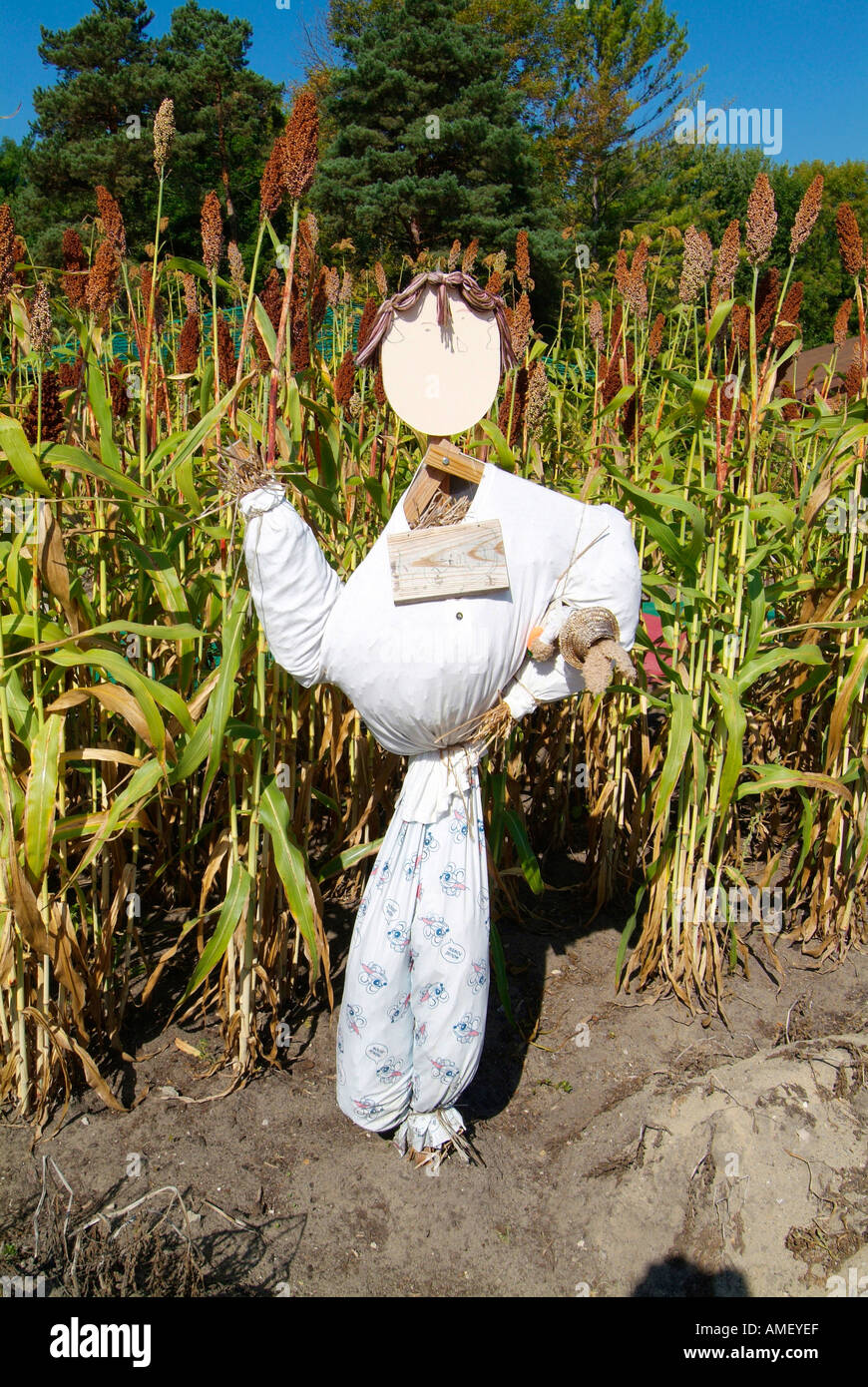 Rox Orange Sorghum and scarecrow at Dow Gardens Midland Michigan Stock ...