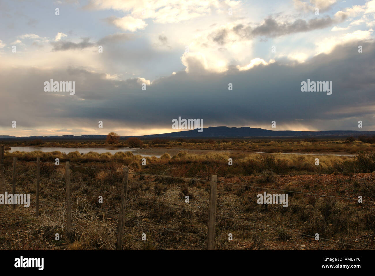 Typical patagonic steppe landscape in Argentina during afternoon Stock ...