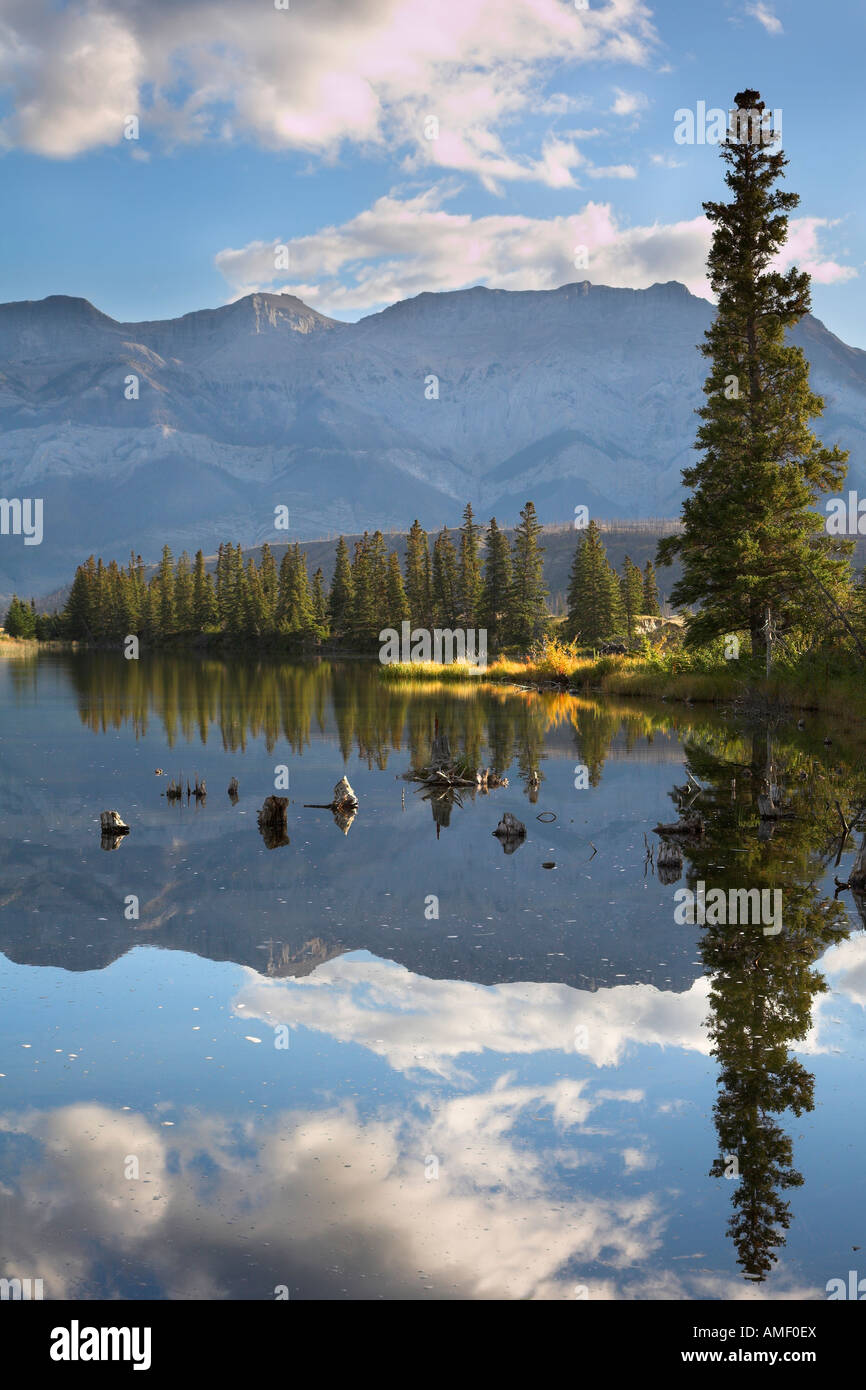 Silent lake in the early autumn morning in mountains Stock Photo - Alamy