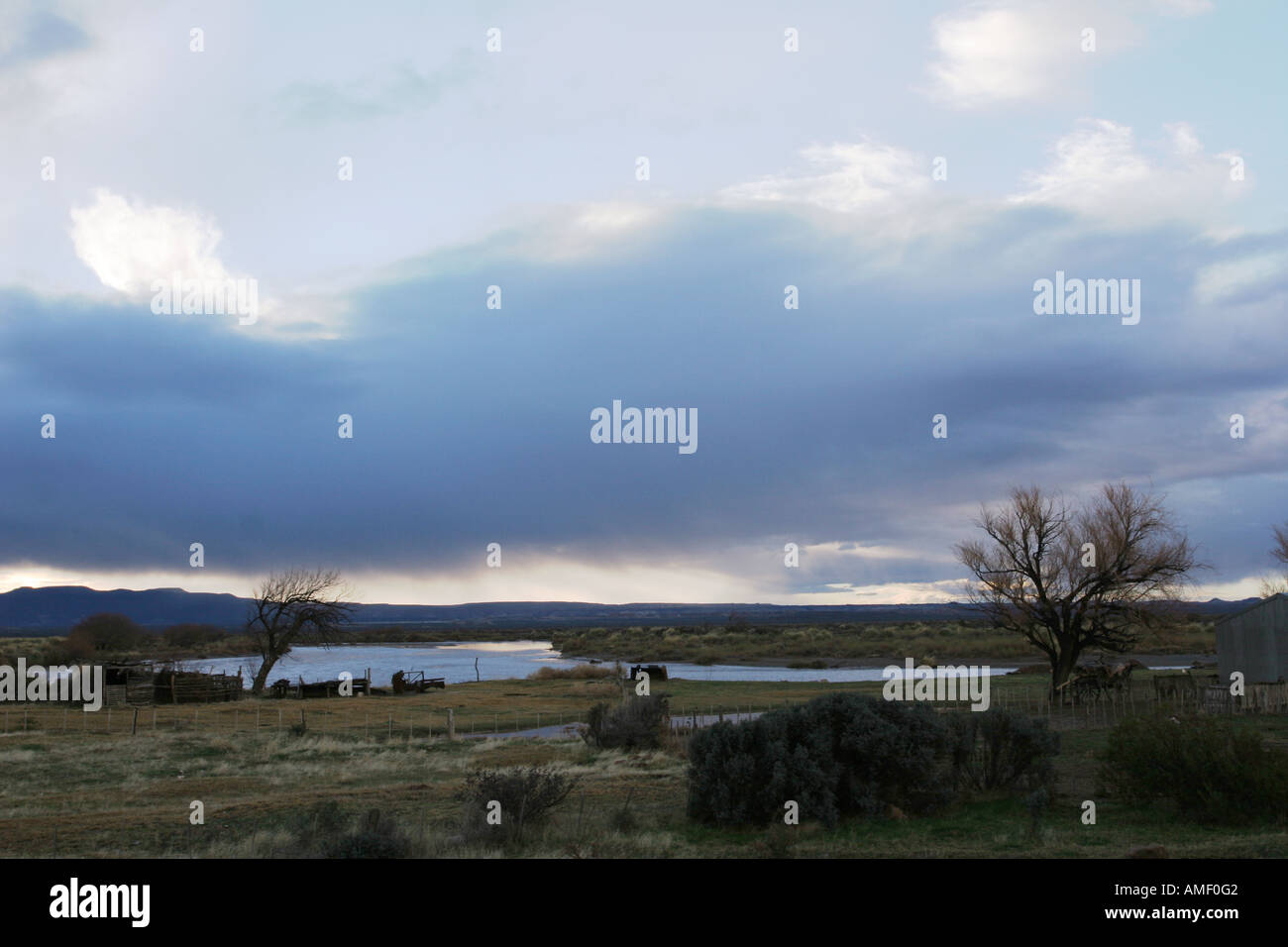 Typical patagonic steppe landscape in Argentina during afternoon with a ...