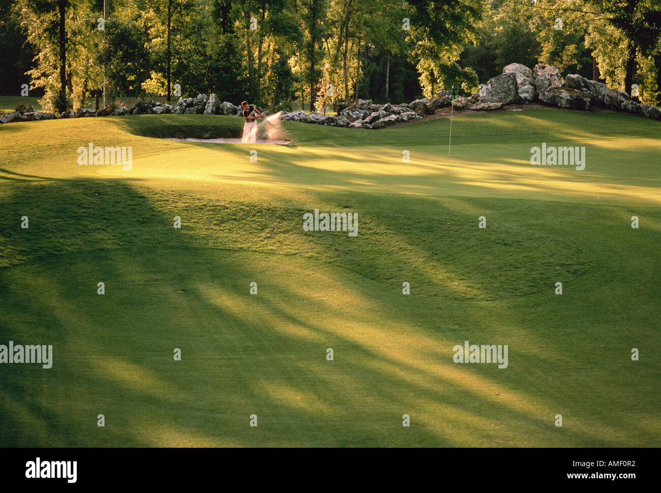 Golfer in Sand Trap Stock Photo - Alamy