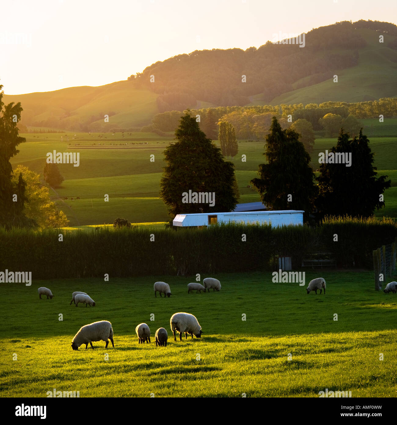 Camper van rural landscape sunset hi-res stock photography and images ...