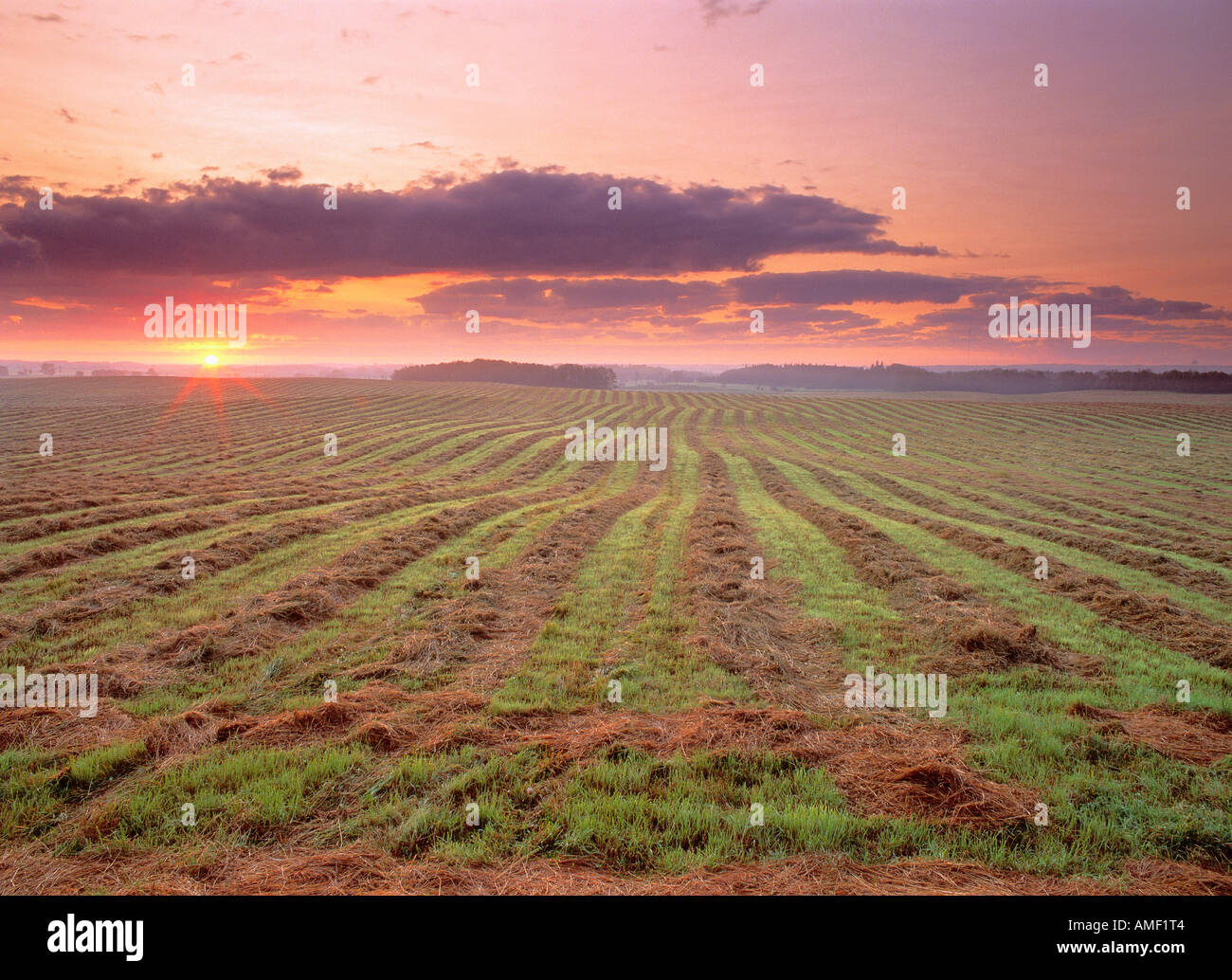 Things to see in alberta canada hi-res stock photography and images - Alamy