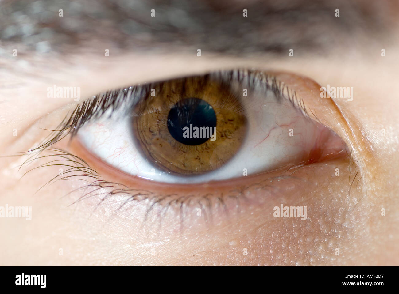 Close up of a human male eye Stock Photo - Alamy