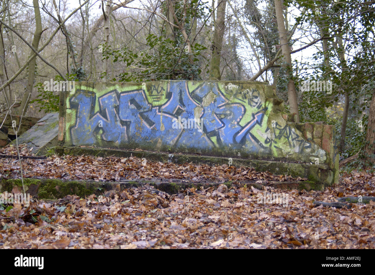 Graffiti in the forest Stock Photo - Alamy