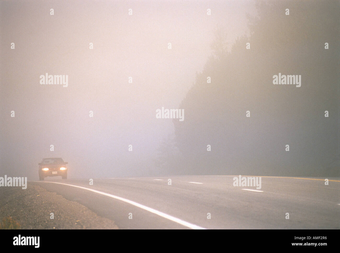 Car head lamp fog hi-res stock photography and images - Alamy