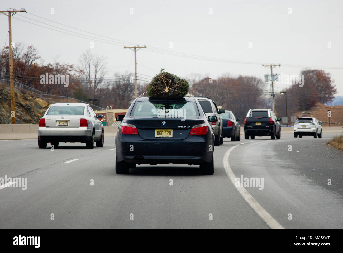 Christmas tree tied top car hi-res stock photography and images - Alamy