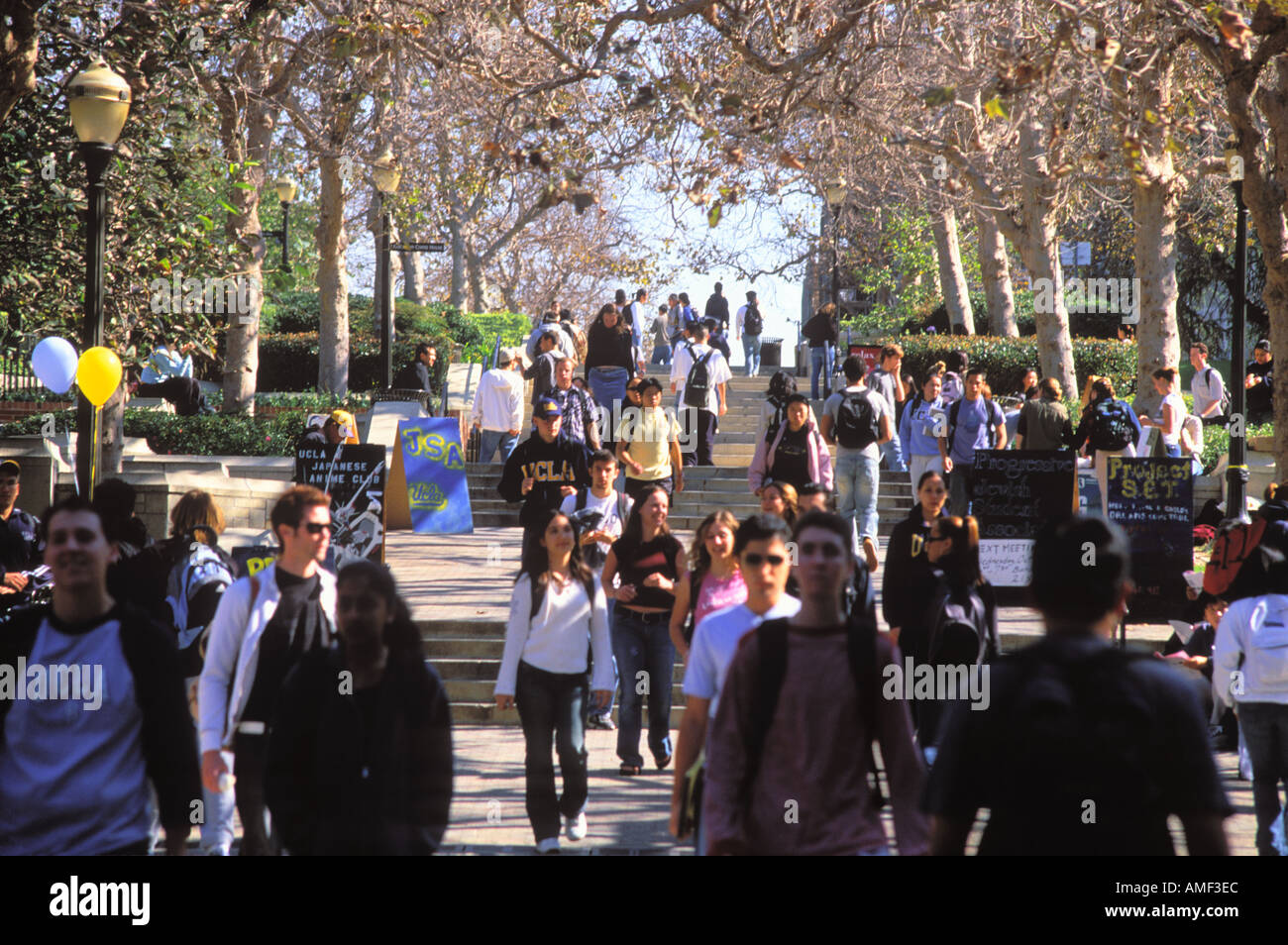 Ucla bruin hi-res stock photography and images - Alamy