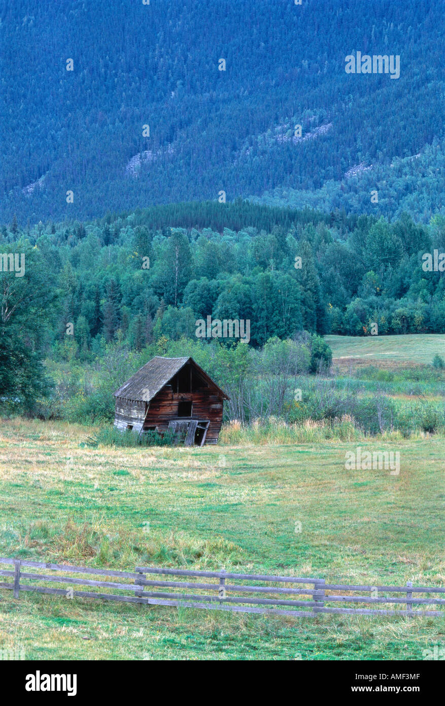 Abandoned Shack in Field With Trees British Columbia, Canada Stock ...