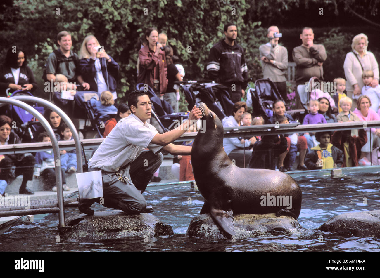 Central Park Zoo Central Park Manhattan New York Stock Photo - Alamy