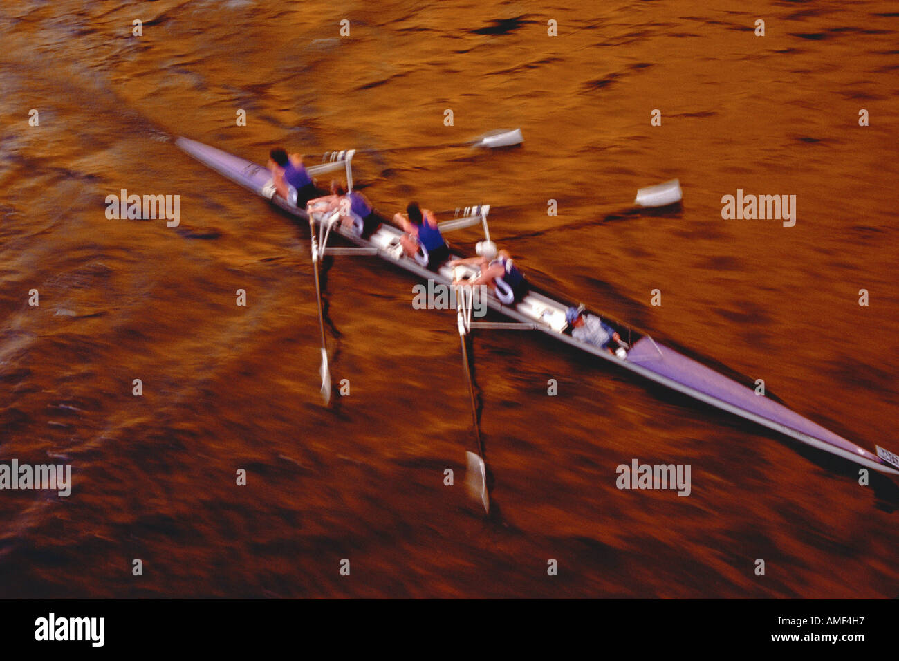 Overview of Rowers Stock Photo - Alamy