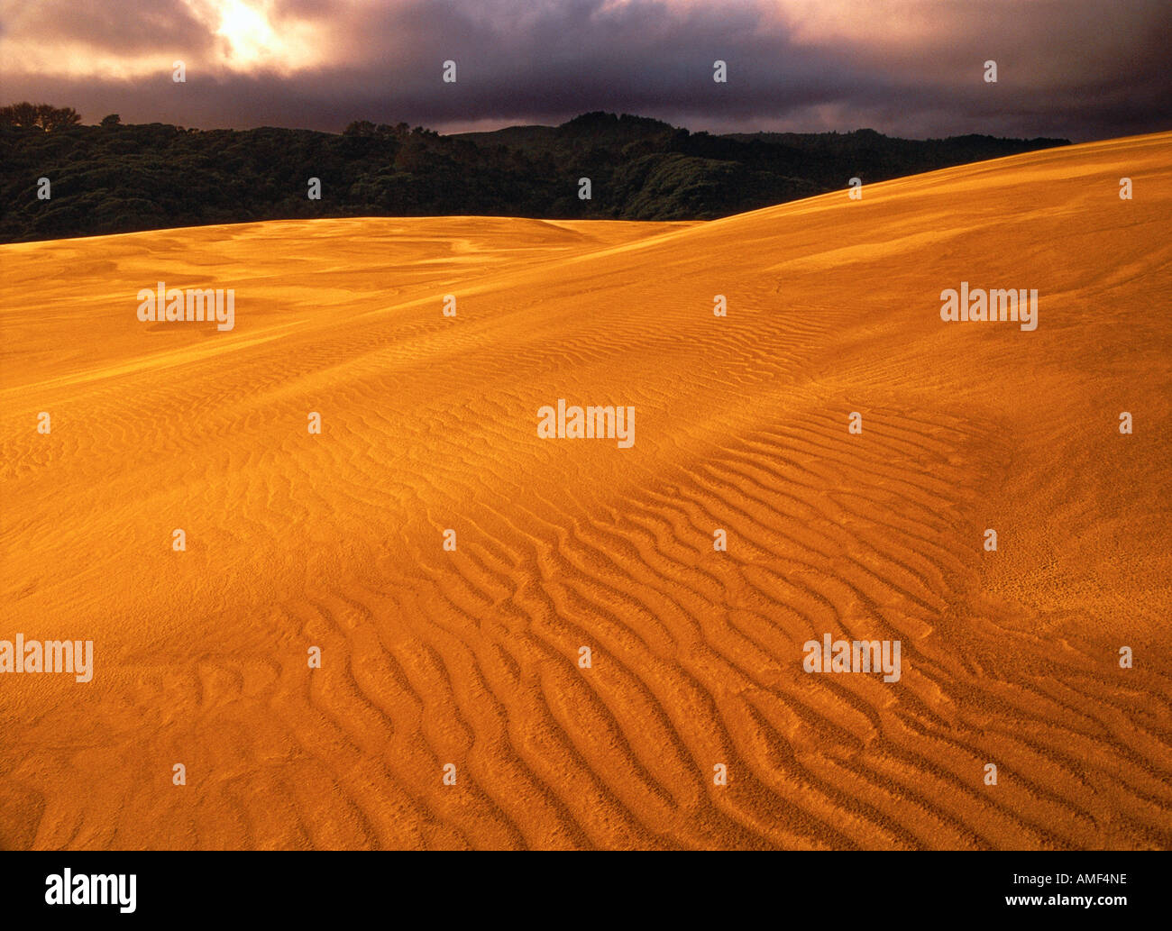 Benson Beach High Resolution Stock Photography and Images - Alamy