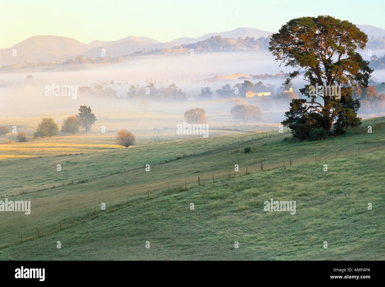 Bega nsw hi-res stock photography and images - Alamy
