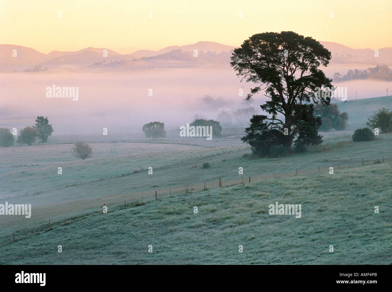 Fog Over Landscape at Sunrise Near Bega, New South Wales Australia ...