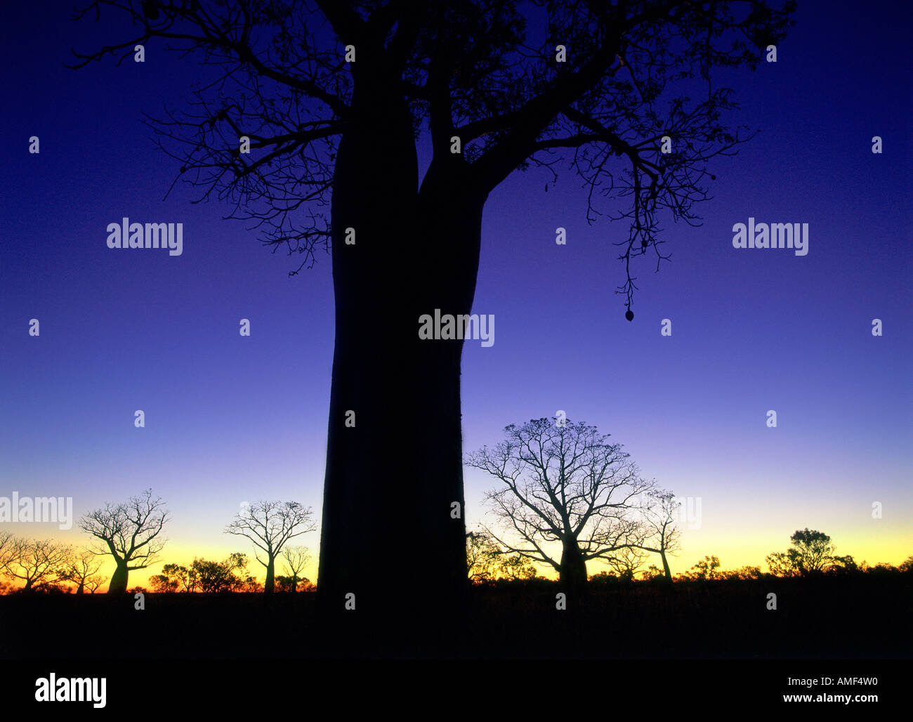 Derby western australia hi-res stock photography and images - Alamy