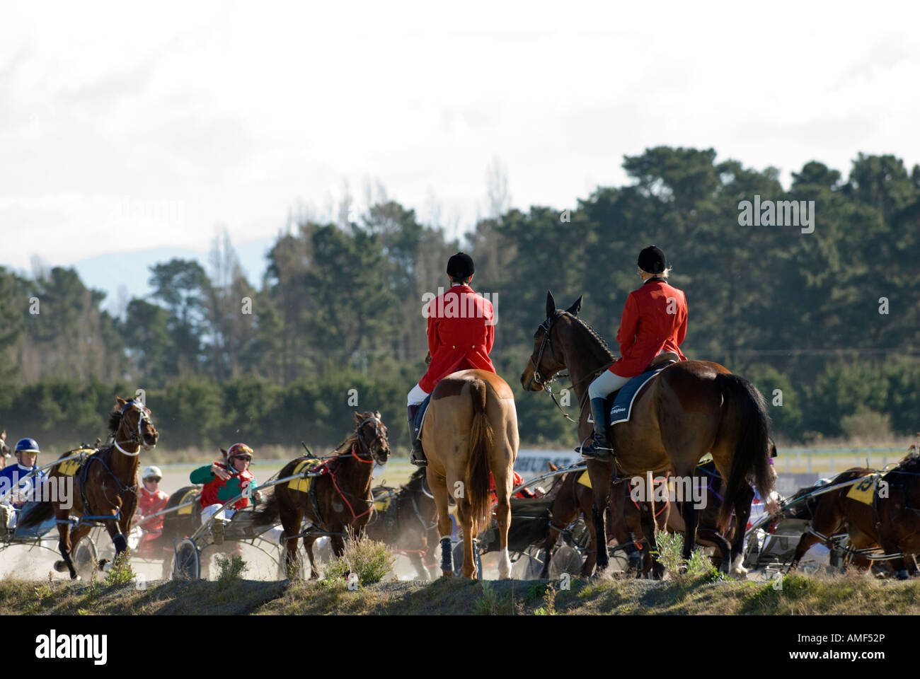 Race officials observe the harness racing at Rangiora Stock Photo - Alamy