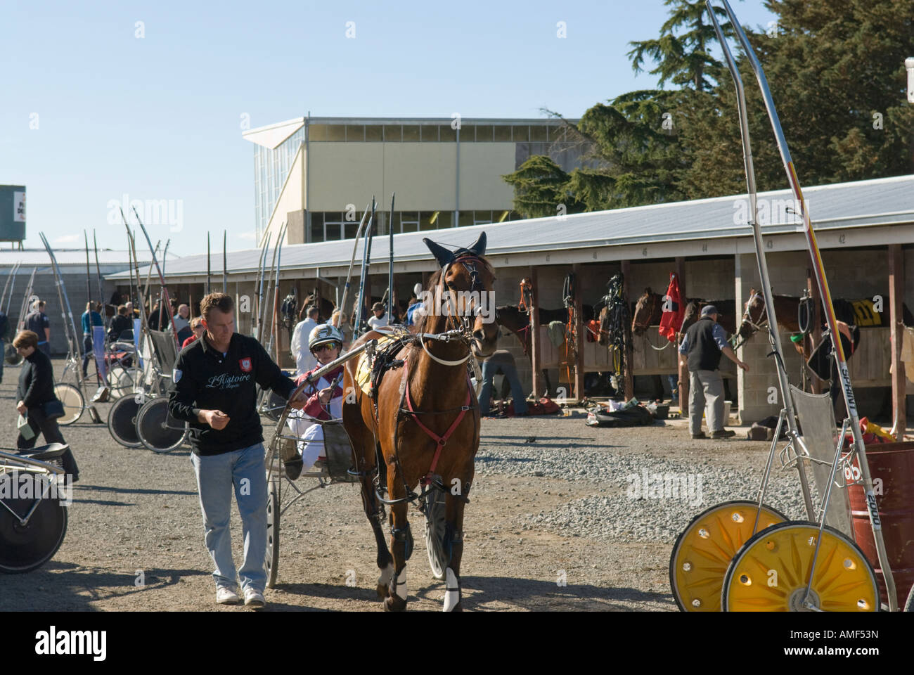 Harness racing stables on race day at Rangiora Stock Photo - Alamy