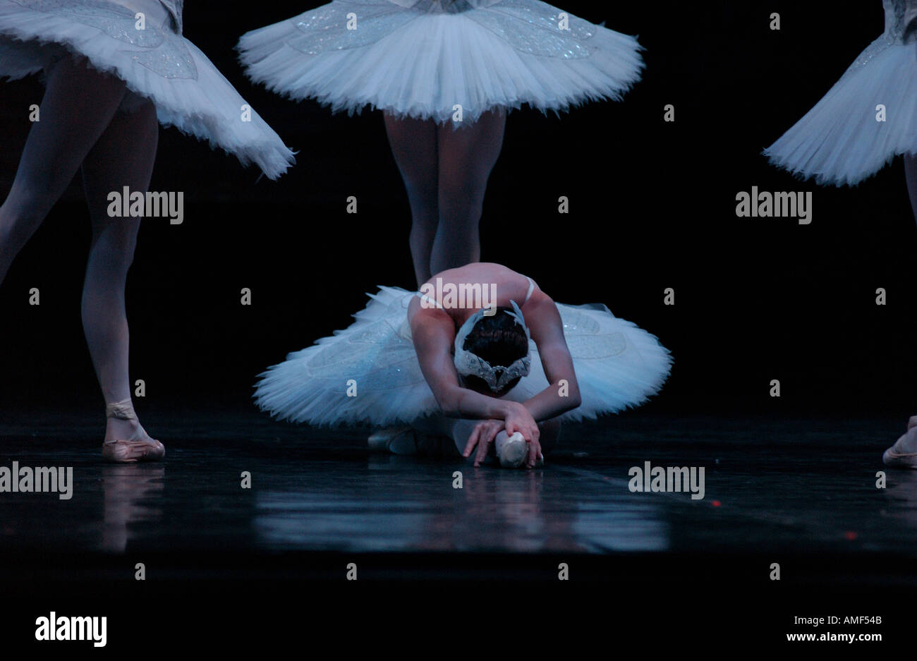 swan lake ballet Stock Photo - Alamy